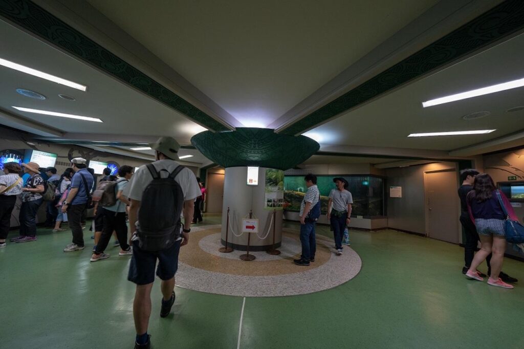 阿寒湖 | ラムサール条約登録湿地関係市町村会議